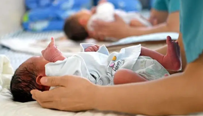 育补发放超2400万人